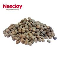 Argila Expandida Nexclay 8-16 50 Litros Isolamento Térmico Acústico ...